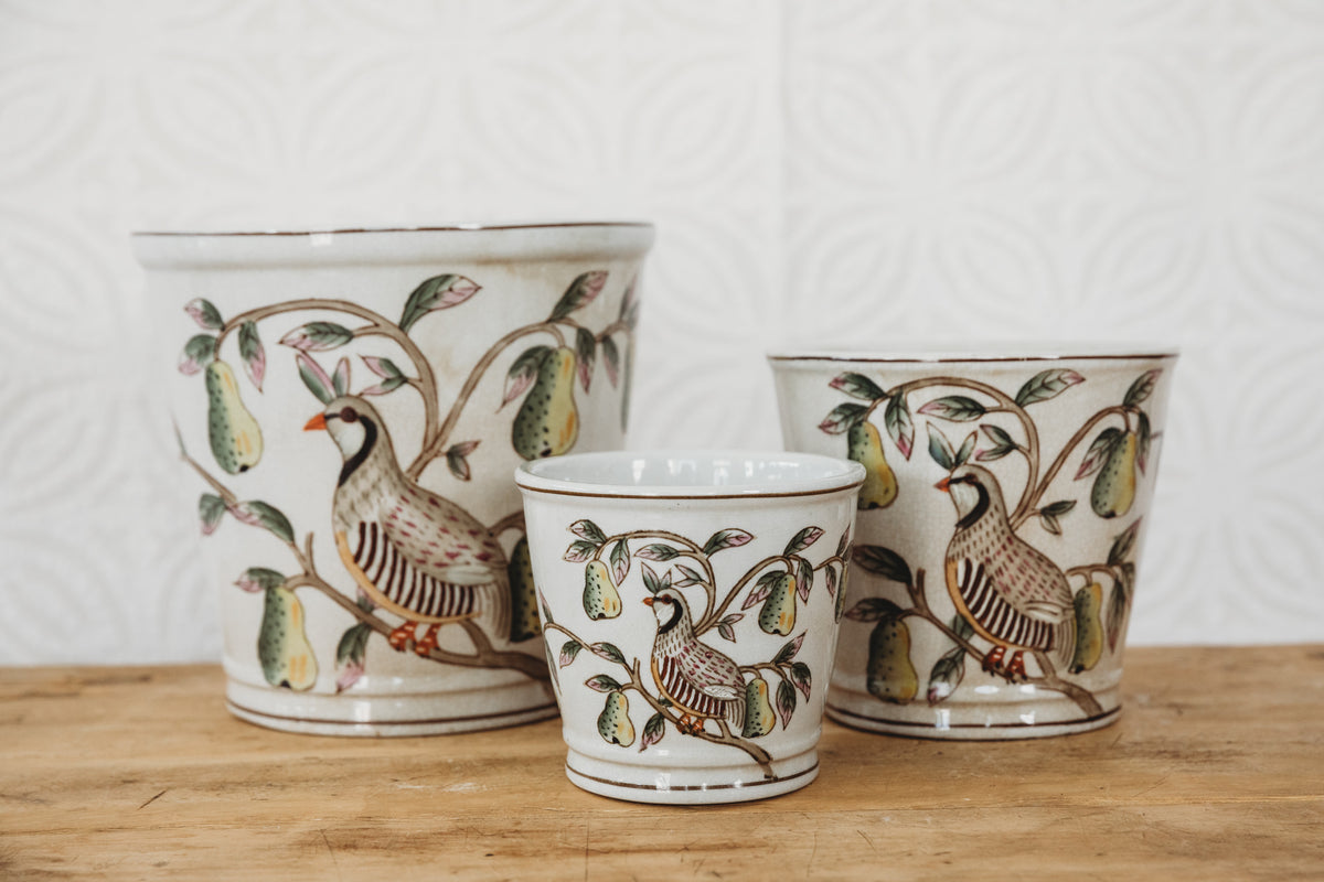 Les Pedrix Round Pots – Humble Beginnings Randwick